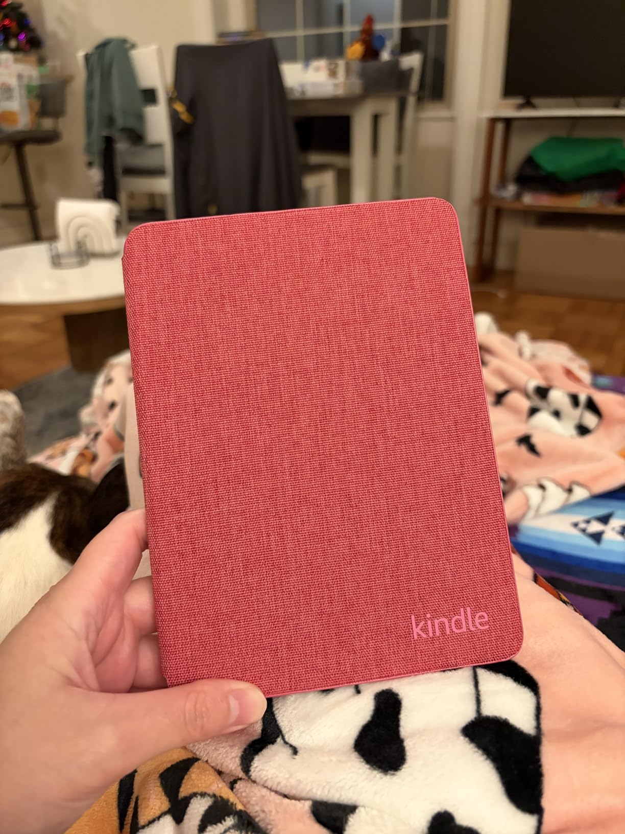 10 Best Kindle Cases and Covers (June 2026) Expert Reviews
