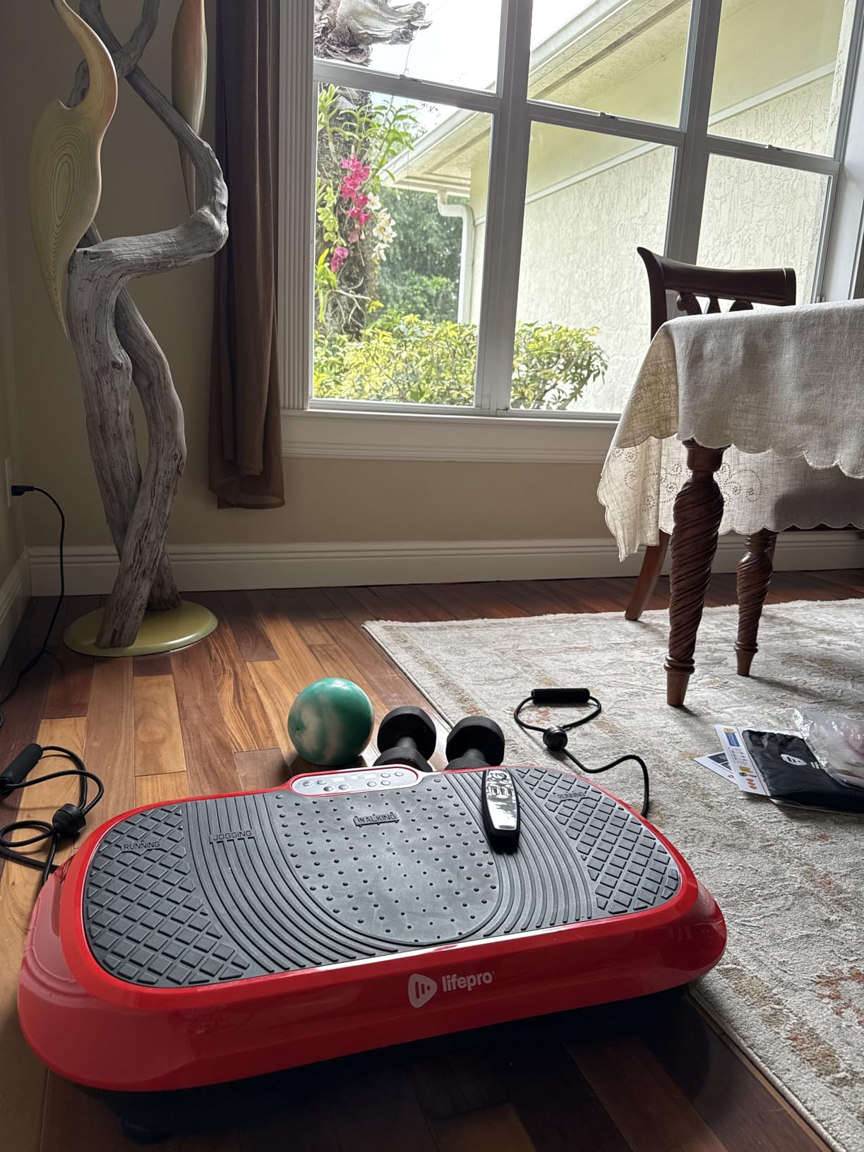 12 Best Vibration Plates (June 2026) Tested & Reviewed