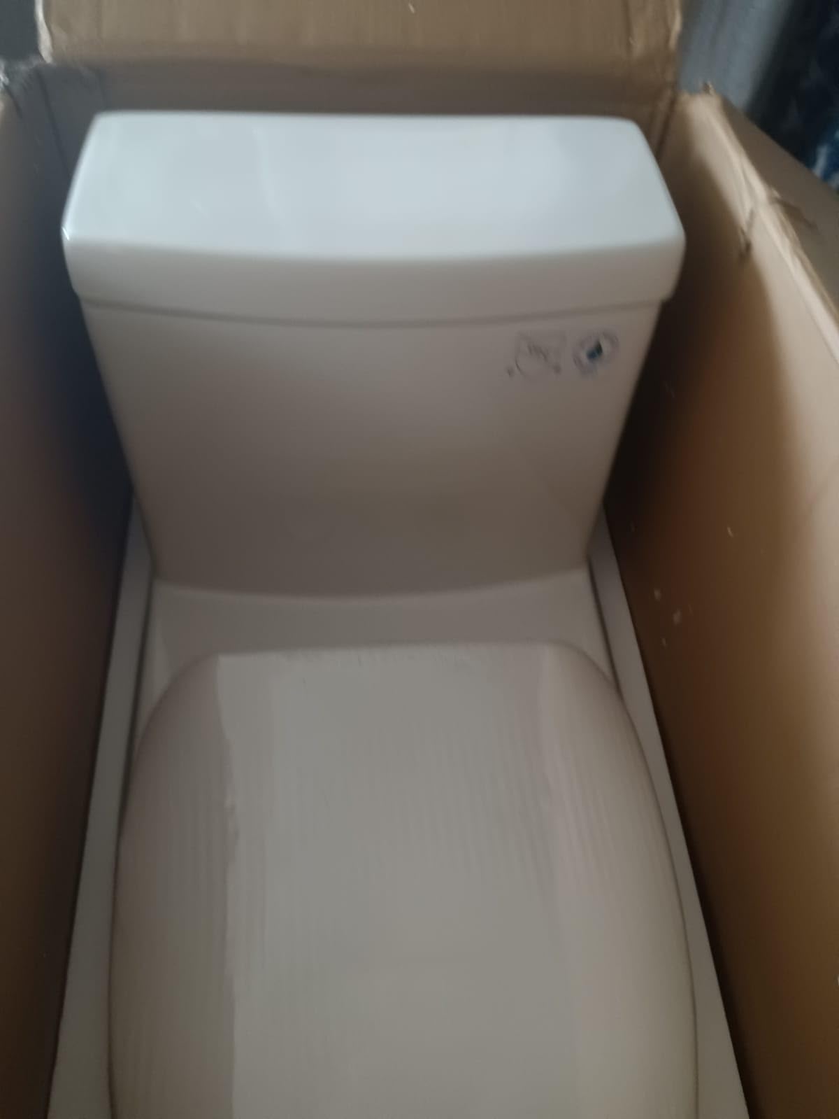 12 Best Dual Flush Toilets (June 2026) Expert Guide