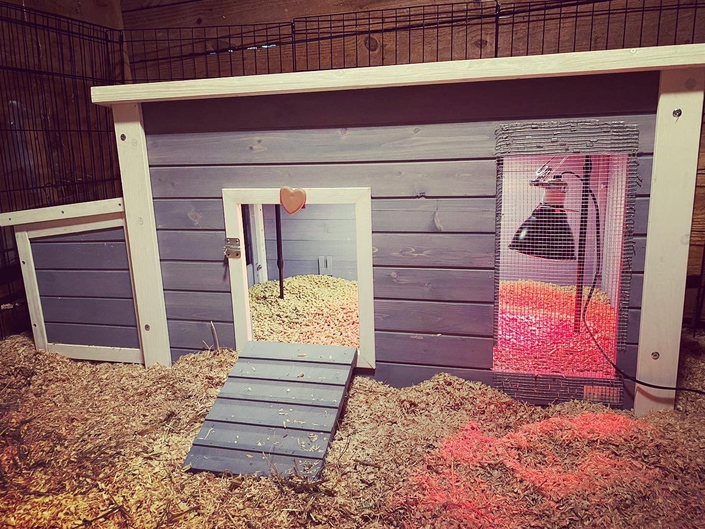 10 Best Chicken Coops (June 2026) Expert Reviews